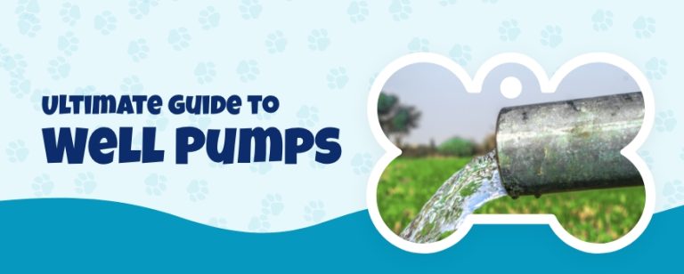 Guide to Well Pumps | Types of Well Pumps